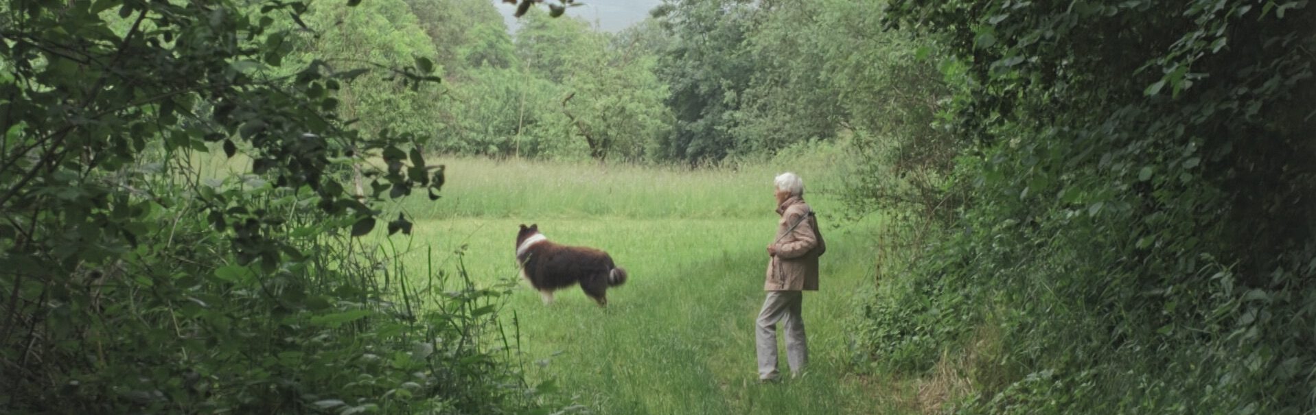 It Happened on Our Ground - go2films